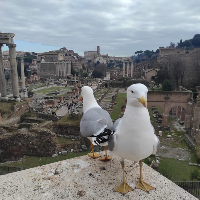 Rome: Colosseum, Vatican Museum & Sistine Chapel Guided Tour | GetYourGuide