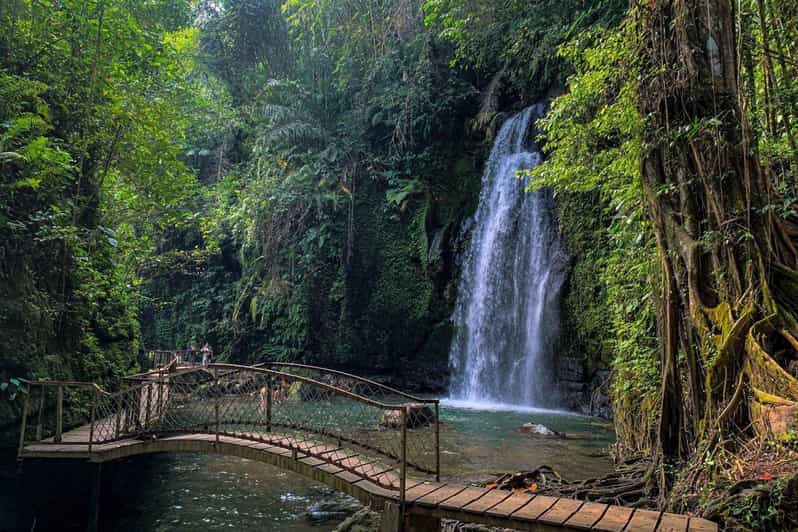 BALI :Sanctuary Monkey forest, rice terrace Water temple | GetYourGuide