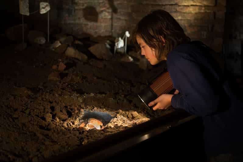 Utrecht: DOMunder-toegangsticket met gids | GetYourGuide