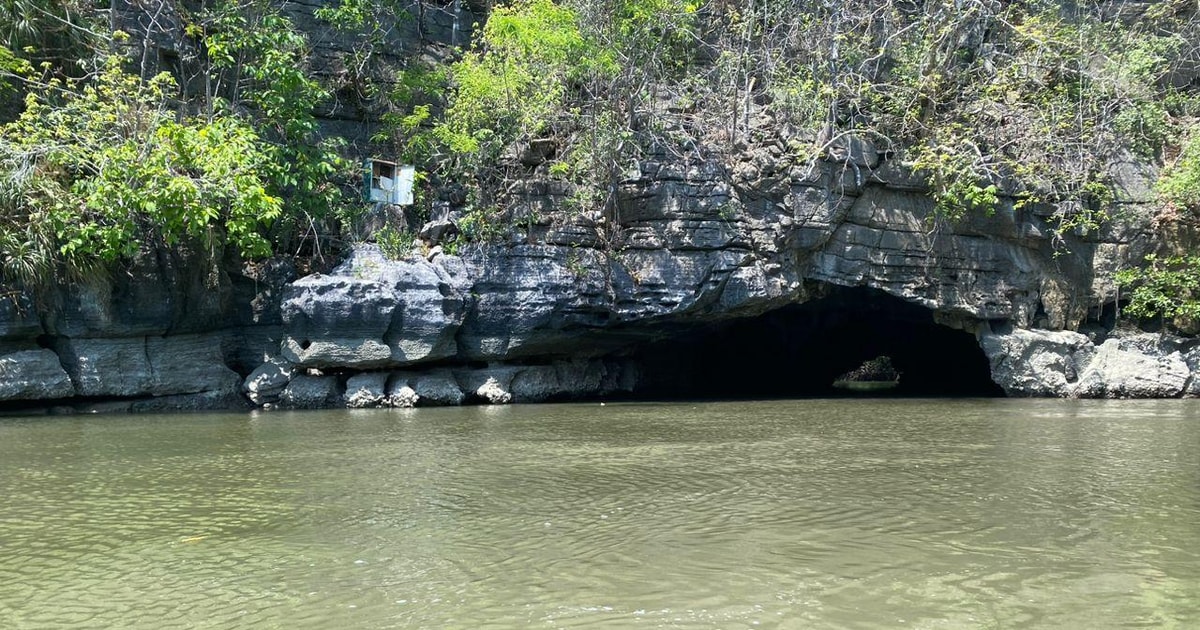 Langkawi Mangrove Monkey Package | GetYourGuide