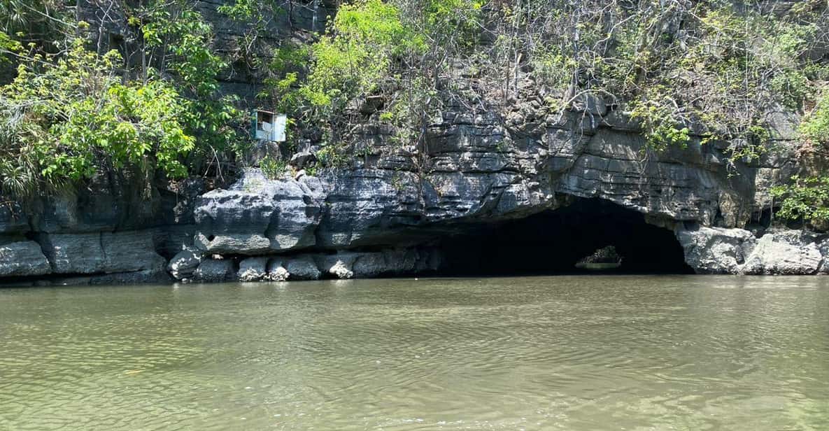 Langkawi Mangrove Monkey Package | GetYourGuide