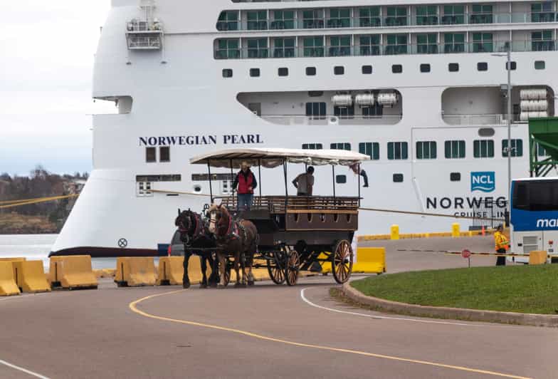 Charlottetown: Horse-Drawn Carriage Tour | GetYourGuide