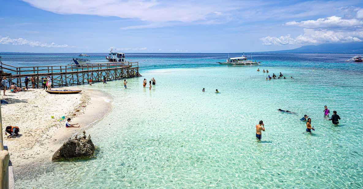Oslob Whale Shark Snorkeling & Island hopping to Sumilon | GetYourGuide