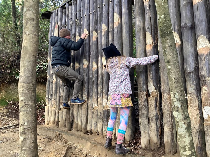 From Kyoto: 3 Koka Ninja Facilities Complete E-Biking Tour | GetYourGuide