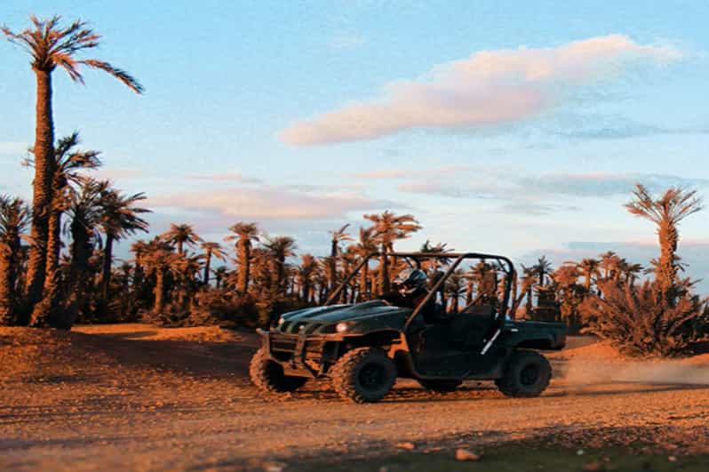 Marrakech: Buggy Ride in the Palm Groves :300cc | GetYourGuide