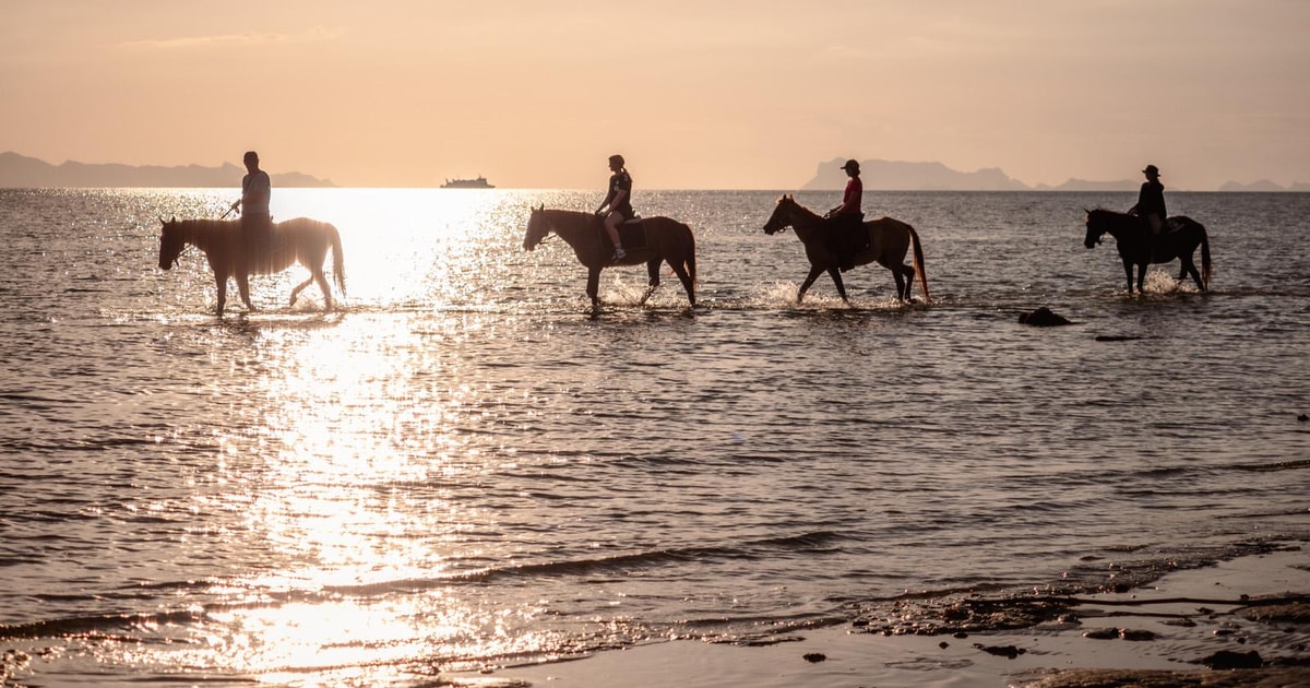 Koh Samui: Sunset Trail Horse Riding on The Beach | GetYourGuide
