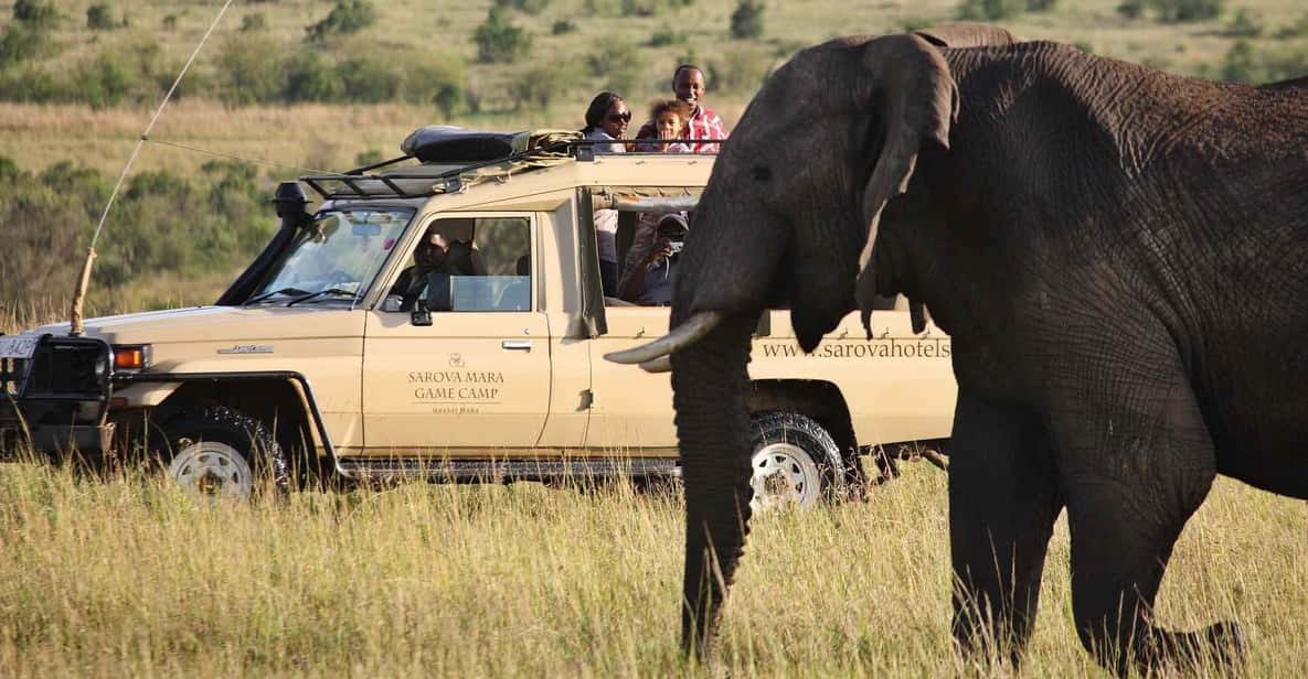 6-Day Private Big 5 Wildlife Safari Extravaganza | GetYourGuide