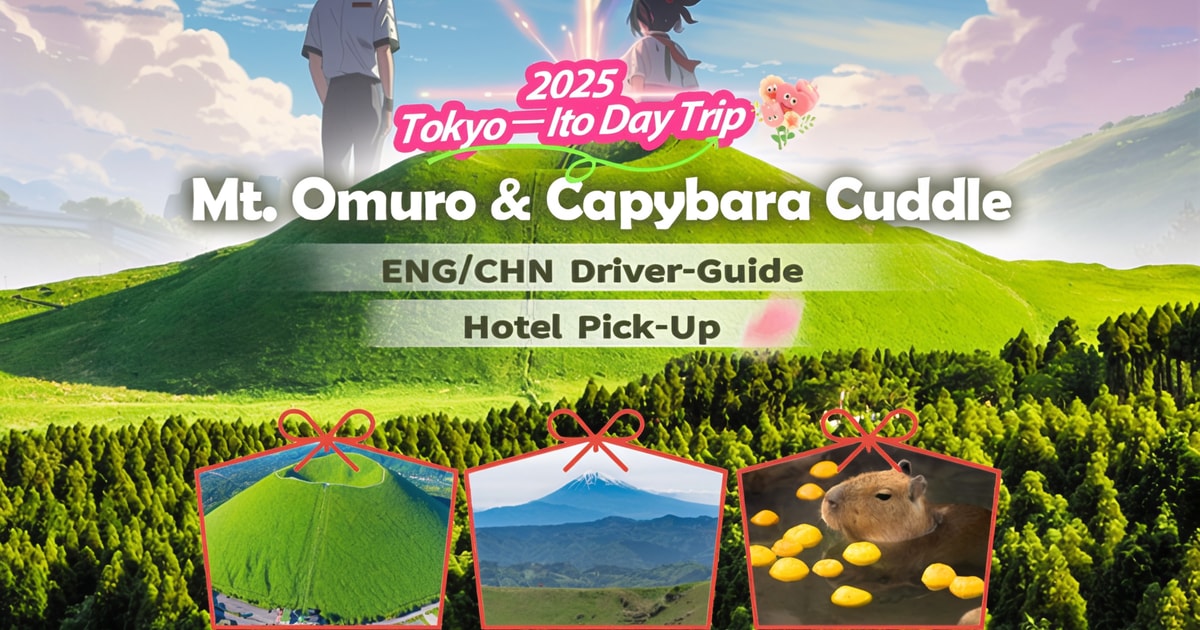 Tokio: Pociąg widokowy Izu, wulkan, ocean i przytulanka z kapibarą ...