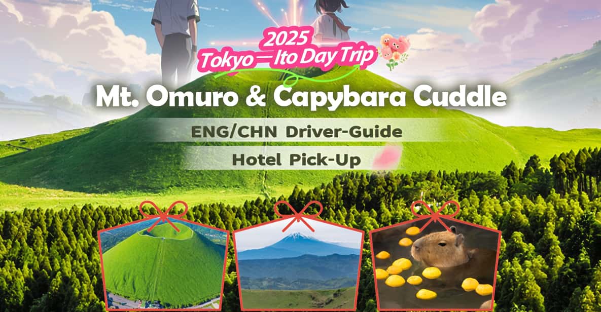 Tokió: Izu Scenic Train, Volcano, Ocean&Capybara Cuddle Trip | GetYourGuide