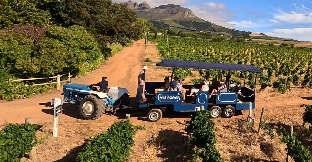 Cape Town: Stellenbosch Hop-On Hop-Off Tractor Wine Tour | GetYourGuide