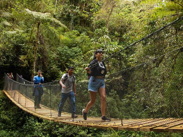 Jungle Adventure | Zip Line, Canopy, Kayak| | GetYourGuide