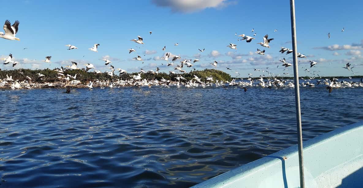 Rio Lagartos a San Felipe: Isla Cerritos, dobrodružný výlet a mayská ...