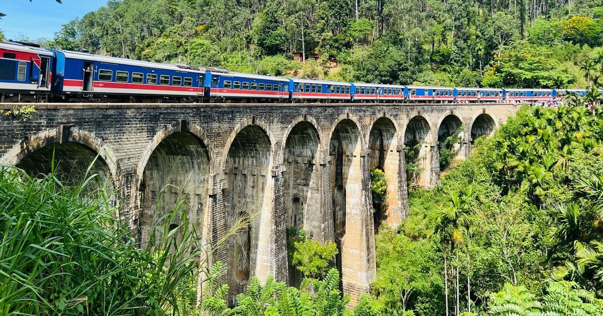 Ella Day Tour from Kandy with tea factory | GetYourGuide