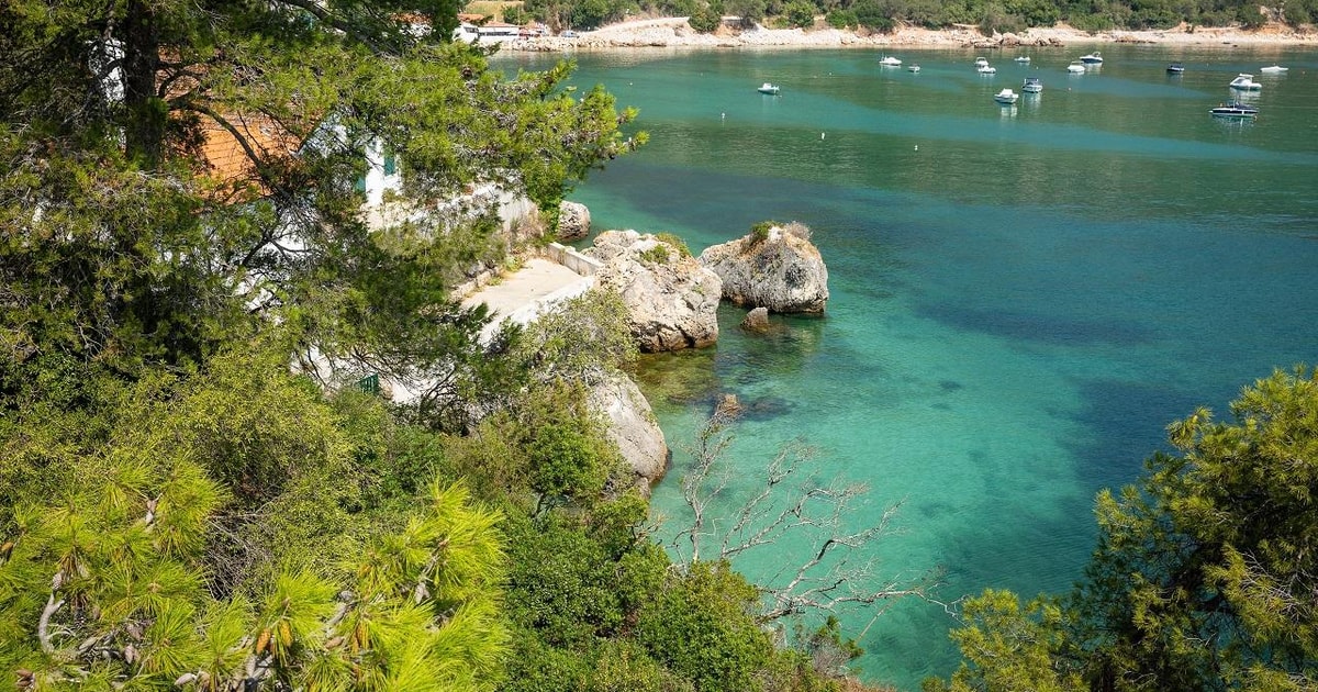 Arrábida - Highlights Full Day Setúbal Tour | GetYourGuide