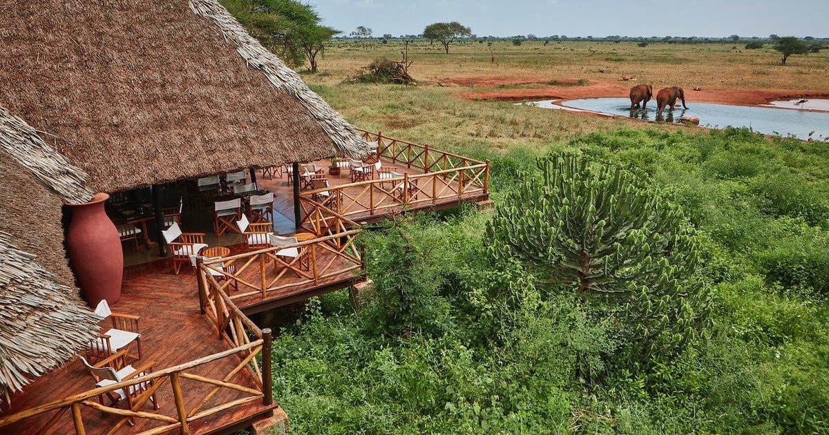 7 Días Santuario de Ngutuni, Taita Hills, Amboseli y Tsavo | GetYourGuide