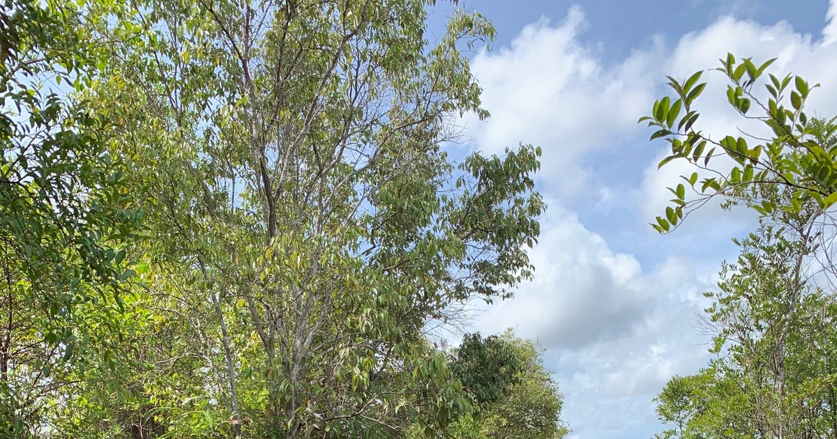 10KM ATV erkunden Dschungel von D'Bamboo Kamp Attraktion | GetYourGuide
