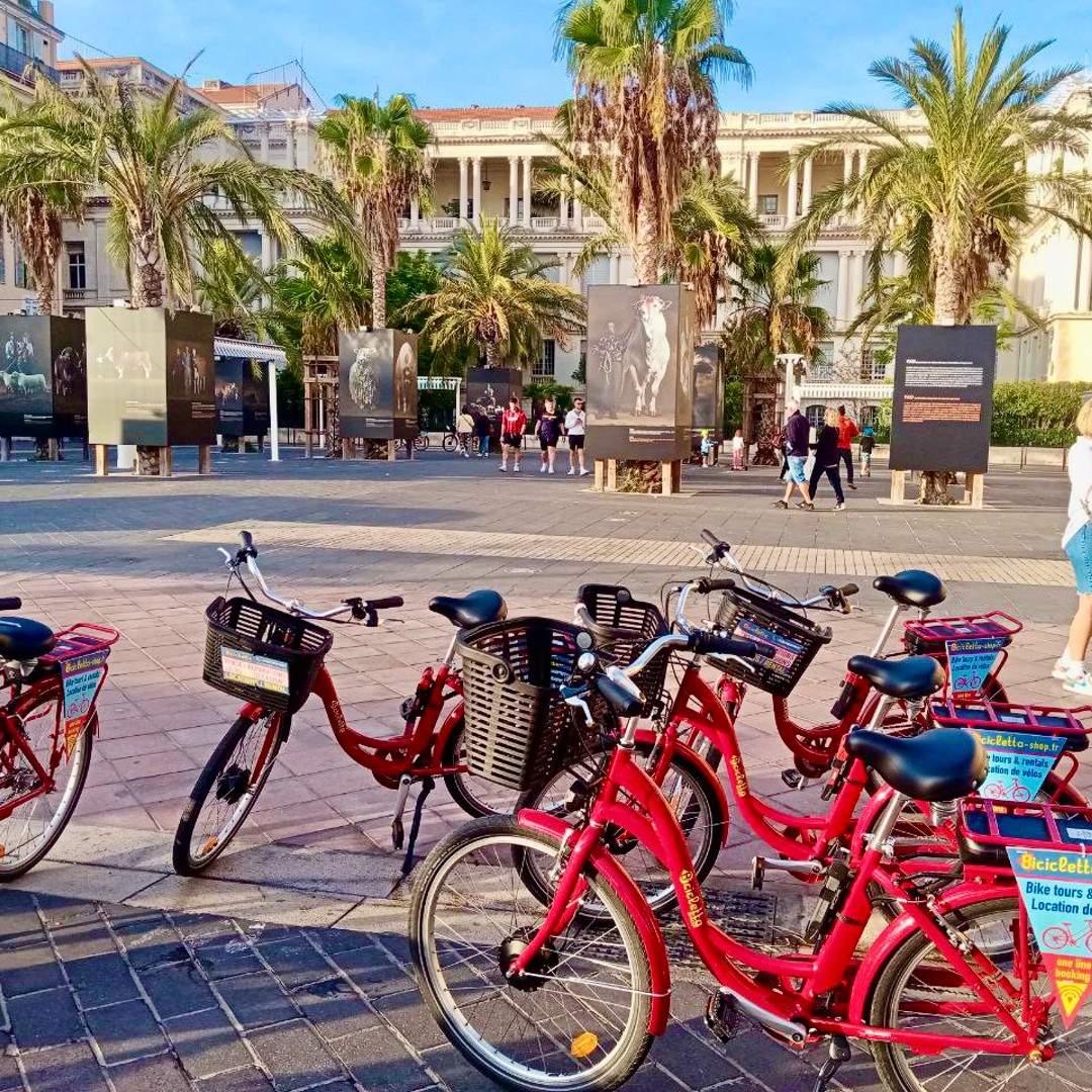Nice: 3-Hour Panoramic E-Bike Tour | GetYourGuide