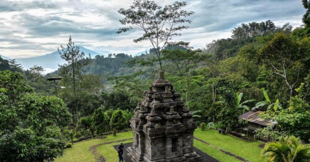Yogyakarta : Selogriyo Temple Java Terraces rice | GetYourGuide