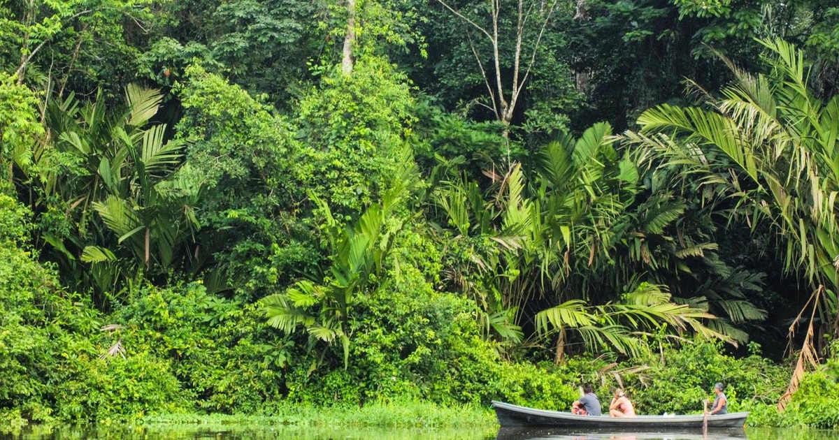 Rondvaart door het kanaal in Tortuguero Nationaal Park | GetYourGuide
