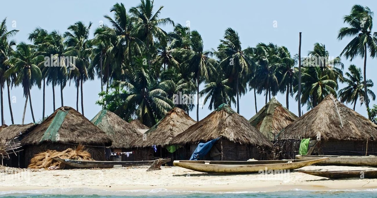 Sierra Leone: Turtle Islands Tour Trip in Bonthe District | GetYourGuide