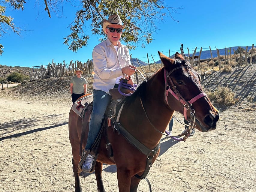 Horseback Ride thru Joshua Tree Forest with Buffalo & Lunch | GetYourGuide