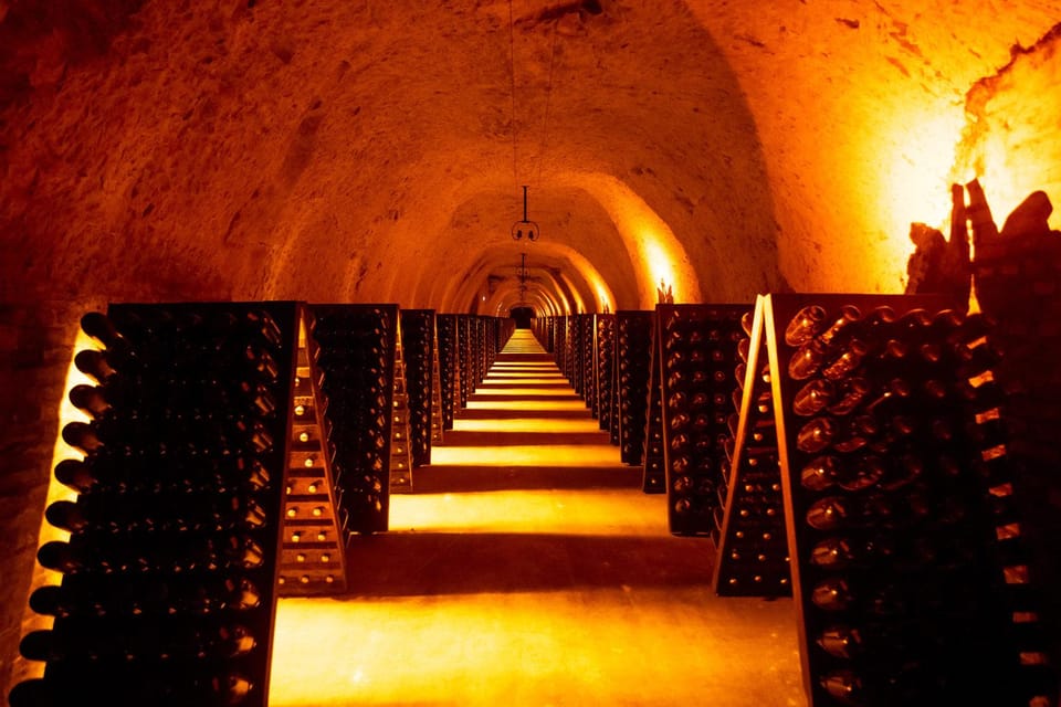 Paris: Discover the cellars in the countryside in Champagne | GetYourGuide