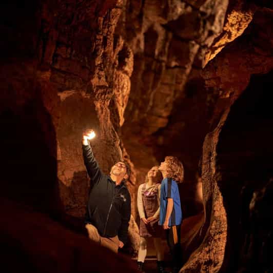 Torquay: Kents Cavern Prehistoric Cave | GetYourGuide