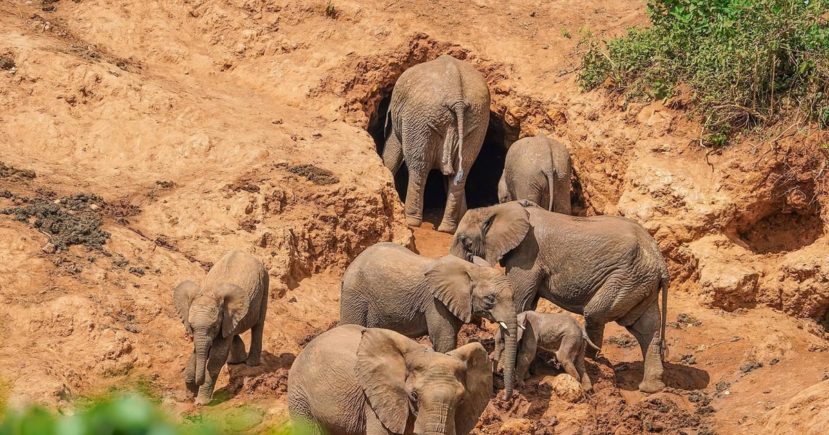 Daytrip Endoro Falls Hike & Elephant Caves | GetYourGuide