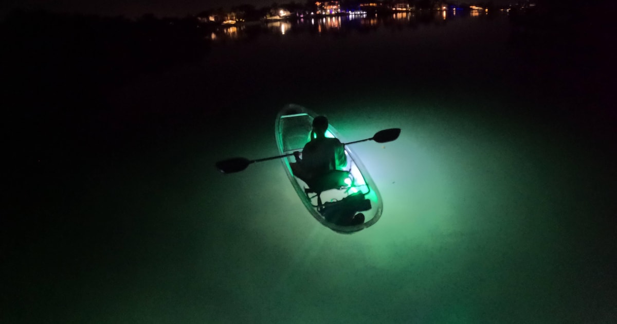 Visite de nuit de Longboat Key en kayak transparent à LED | GetYourGuide