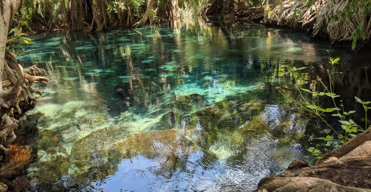 Excursión a las Termas de Chemka | GetYourGuide