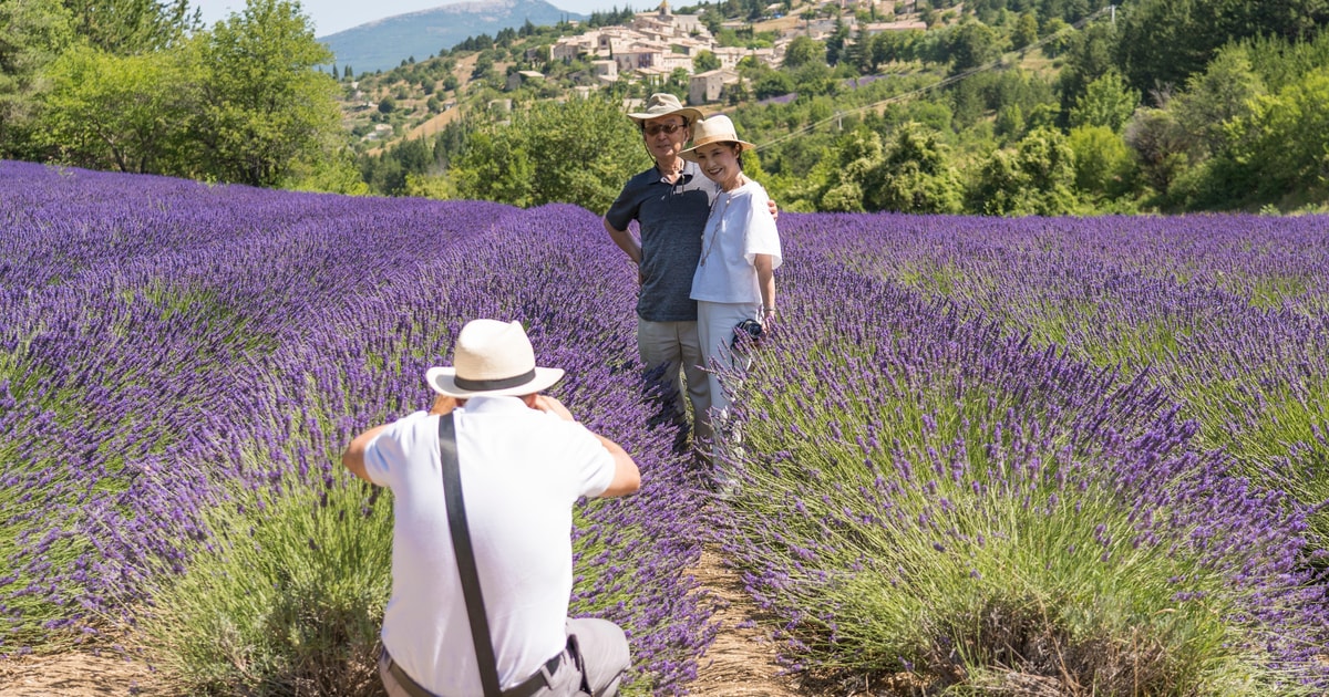 From Avignon: Half-Day Lavender Tour of Luberon | GetYourGuide