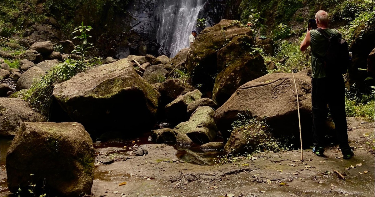 From Puerto Viejo & Cahuita: Hidden Kekoldi Waterfall Hike | GetYourGuide