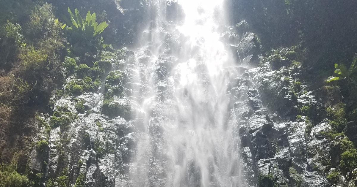 LOCAL COFFEE TOUR, MATERUNI WATERFALL & CHEMKA HOTSPRING | GetYourGuide