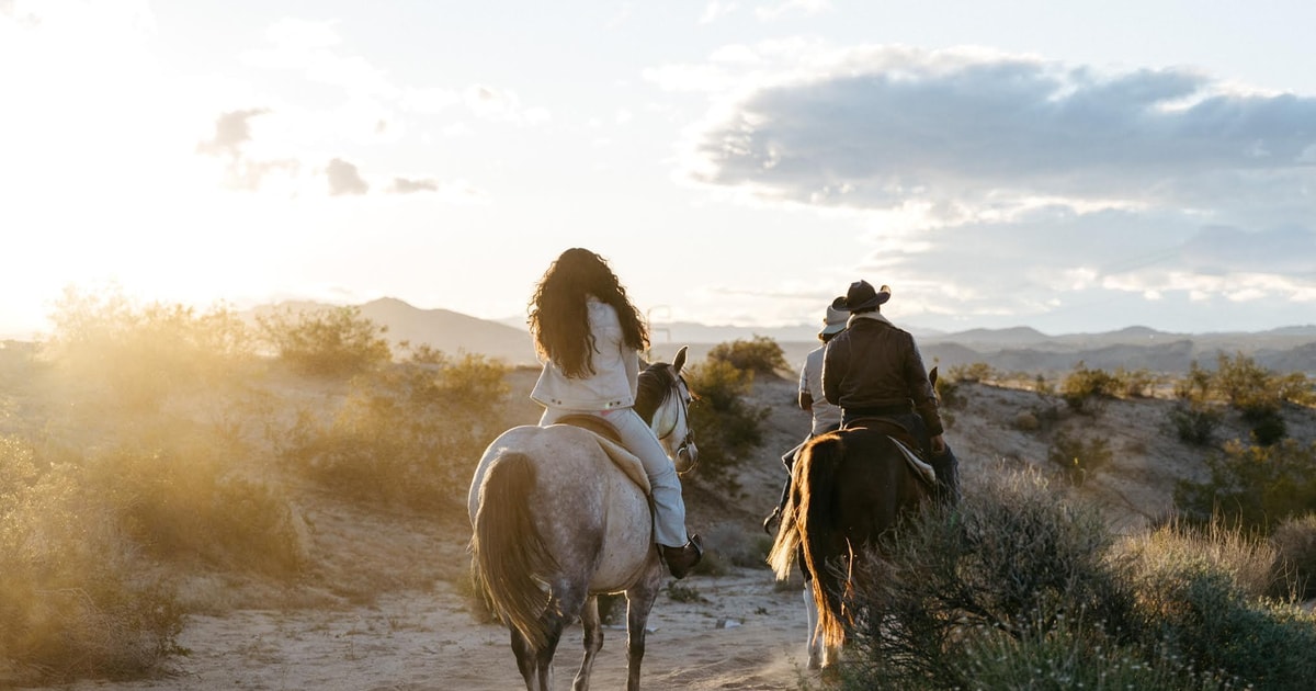Joshua Tree: Horseback Trail Riding Adventure with a Guide | GetYourGuide