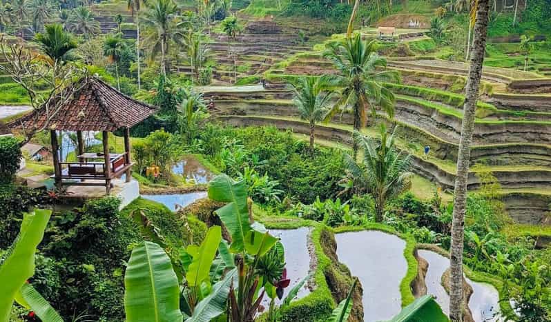 The BEST Ulu Petanu Waterfall Rice fields & terraces 2024 - FREE ...