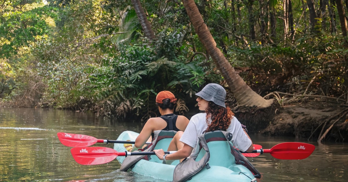 Quepos: Kayak Tour in the Mangroves Near Manuel Antonio Park | GetYourGuide