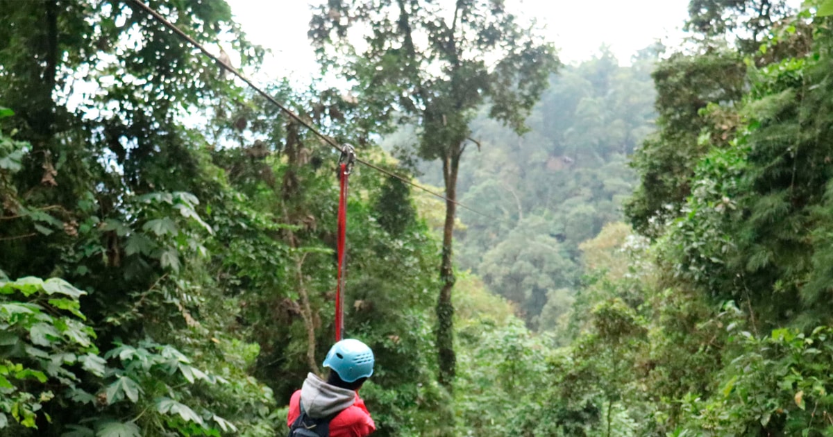 Excursión al Bosque Nublado de Chicaque | GetYourGuide