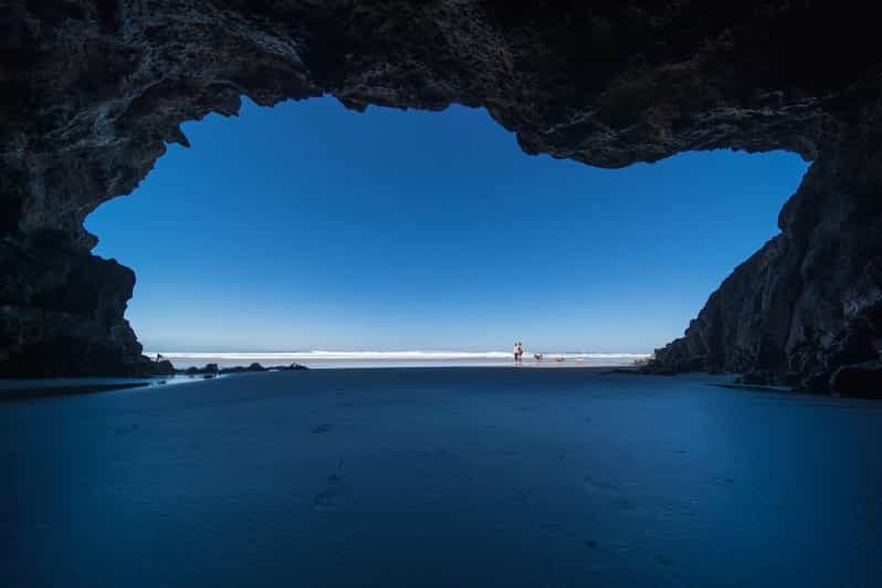 Dunedin City & Otago Peninsula Scenery Day Tour | GetYourGuide