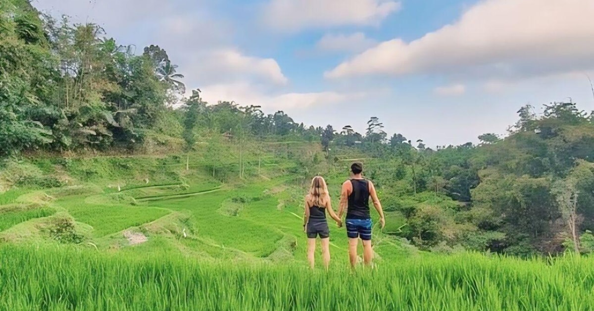 Tetebatu : Waterfall, Rice Fields & Monkey Forest Full day | GetYourGuide