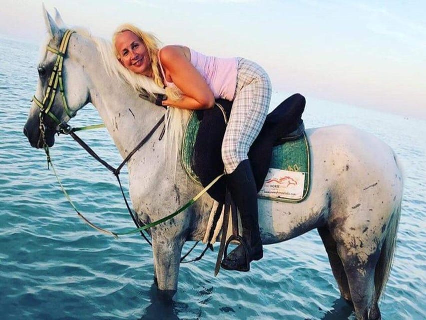 Hurghada : Two Hours Sun & Sea Horse Riding With Transfers | GetYourGuide