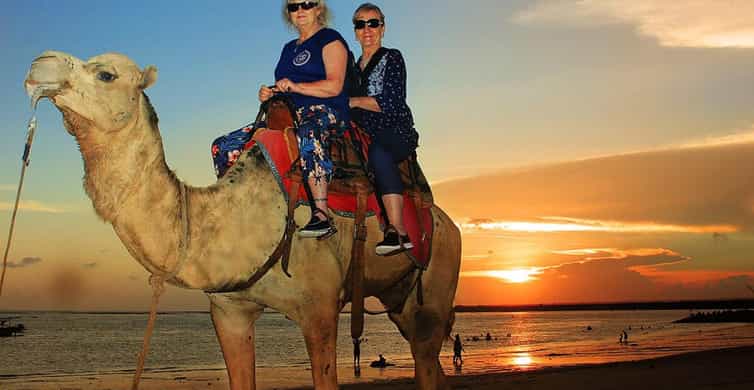 Enjoy unique Camel Ride Tour in Bali beach with transport | GetYourGuide