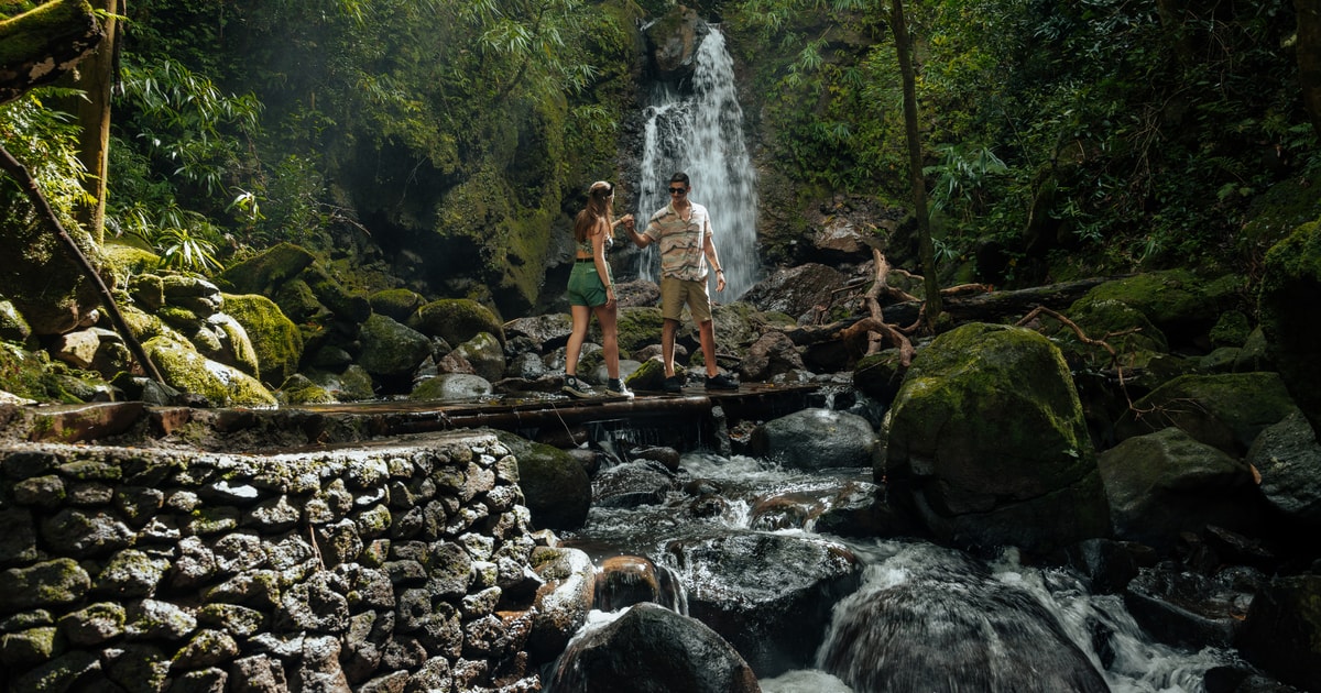 Vallé Advenature Park: Adrenaline, Nature Explore & Fun | GetYourGuide