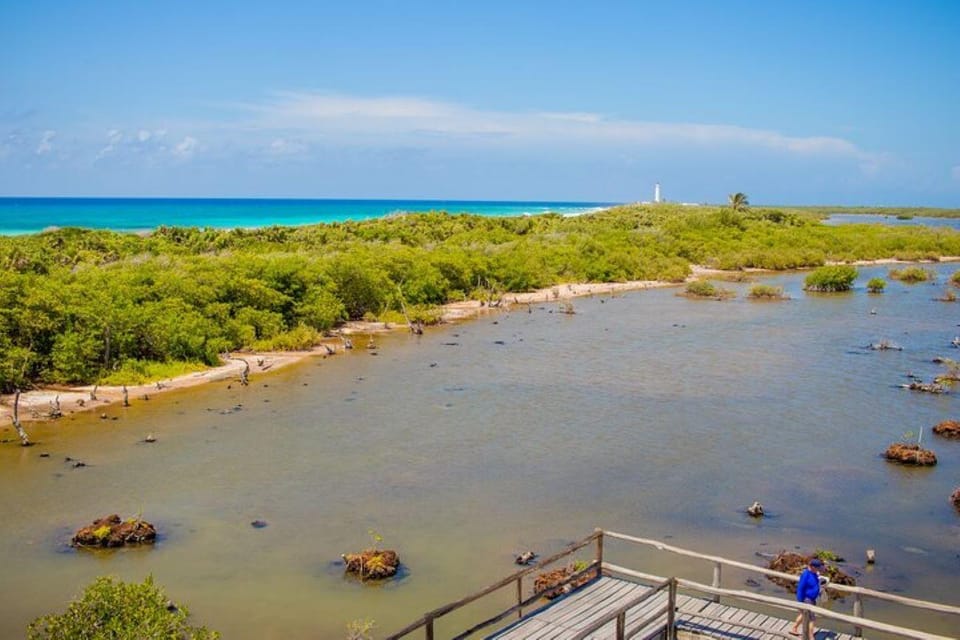 Cozumel: Private Buggy Tour to Punta Sur Park | GetYourGuide