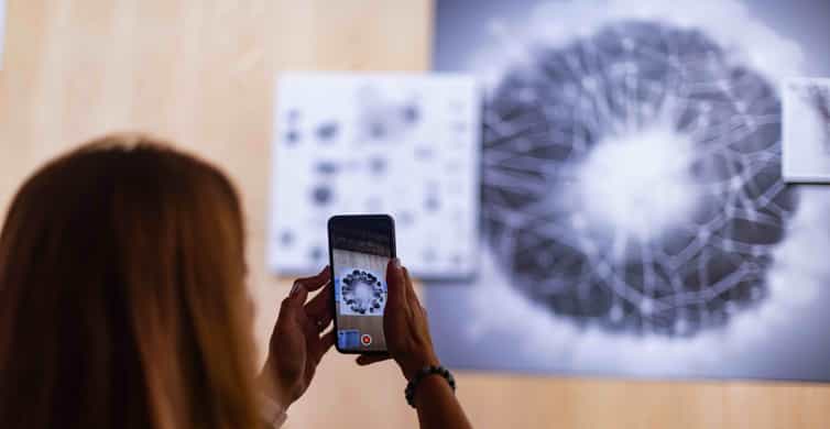 House of Digital Art: Experience immersive installations | GetYourGuide