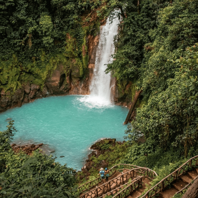 Tenorio National Park: Guided Tour and Sloth Experience | GetYourGuide