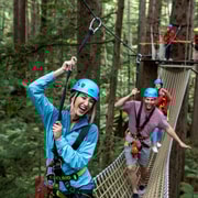 Rotorua: Redwoods Altitude High Ropes Adventure | GetYourGuide