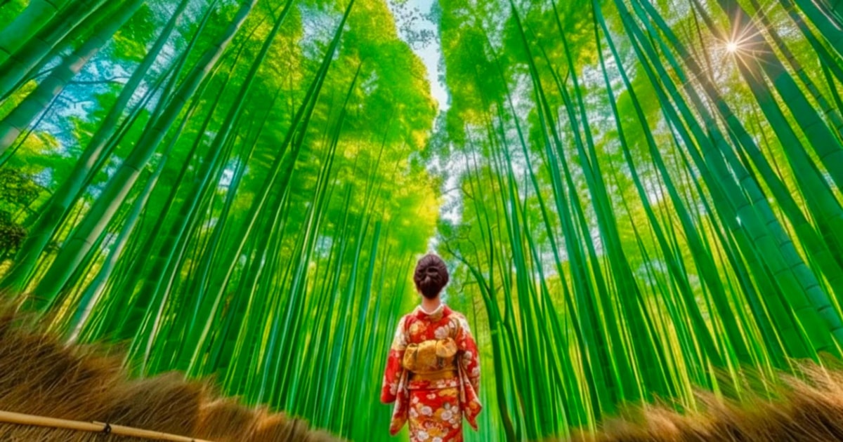 Kyoto: Custom Highlights Tour – See Top Attractions in 1 Day | GetYourGuide