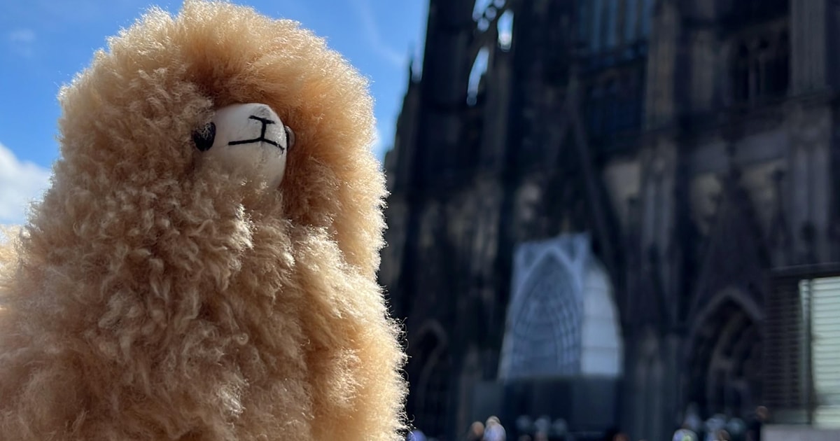 Day tour Aachen & Cologne from Brussels | GetYourGuide