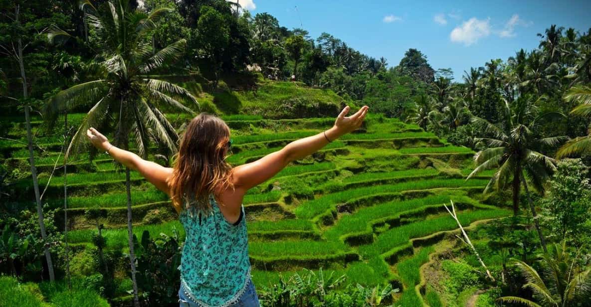 Ubud: Terase de orez, pădure de maimuțe și cascadă - excursie de o zi ...