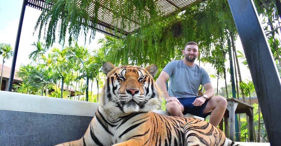 Phuket: Tour de día completo con la ciudad de Phuket, el Templo y el Tigre ATVand | GetYourGuide